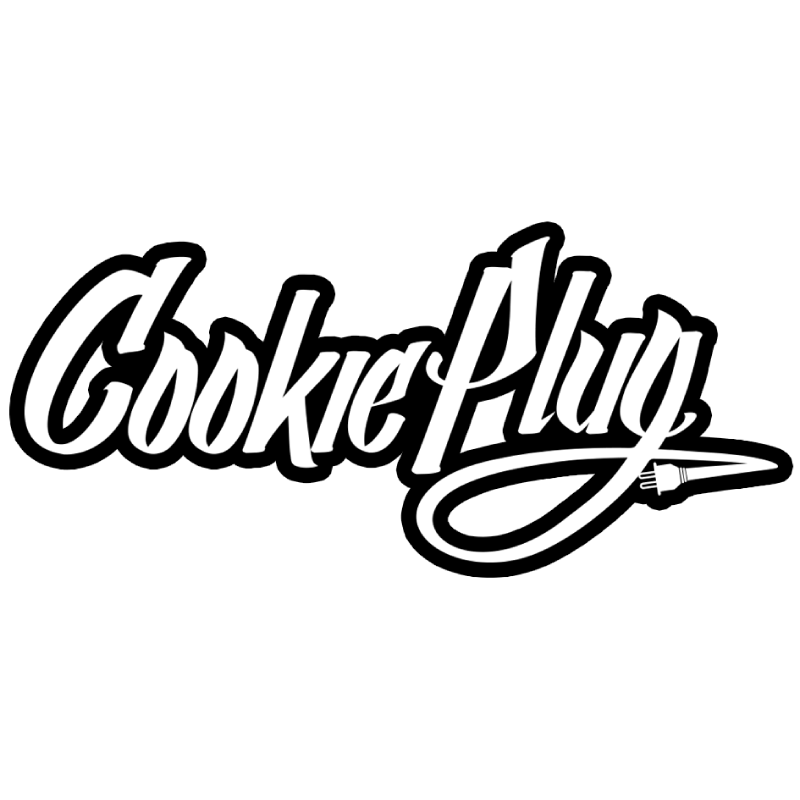 Cookies with Ice Cream | Iced Up Phatties at Cookie Plug